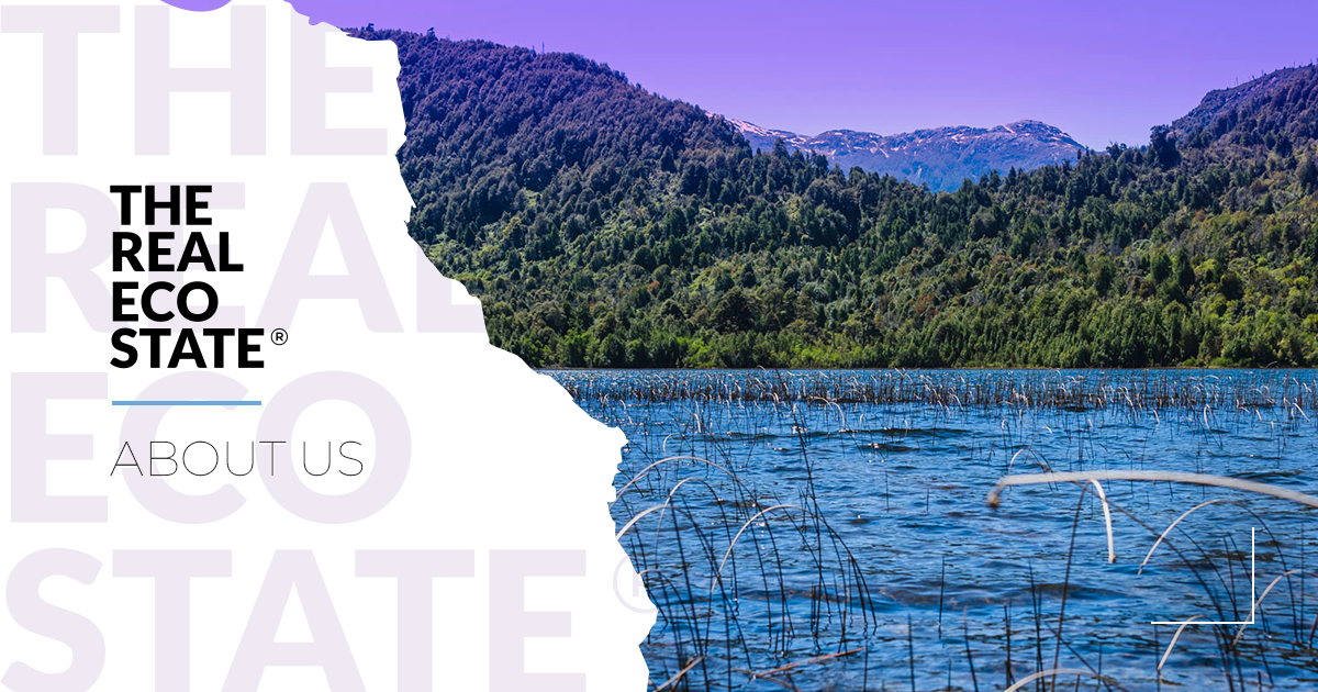 The Real Eco State | About us