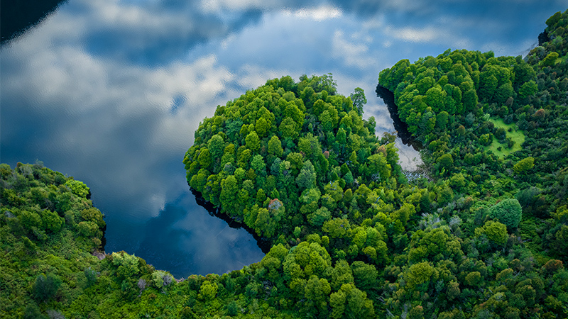 The Real Eco State | Los beneficios de invertir en la conservación de ...